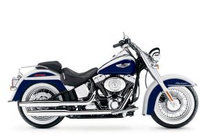Harley Davidson FLSTN/I Softail Deluxe (2005-06) - motorcycle ...